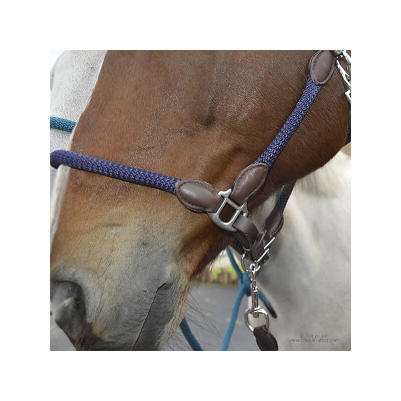 Licol cuir et corde Time Rider | Matériel équitation cheval