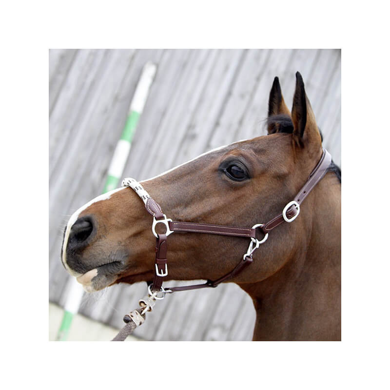 Licol cuir avec muserolle corde Stationata