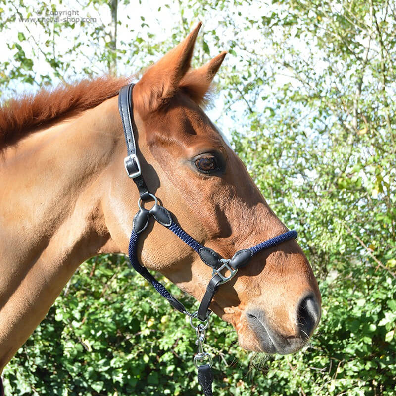 Licol cuir et corde Time Rider | Matériel équitation cheval