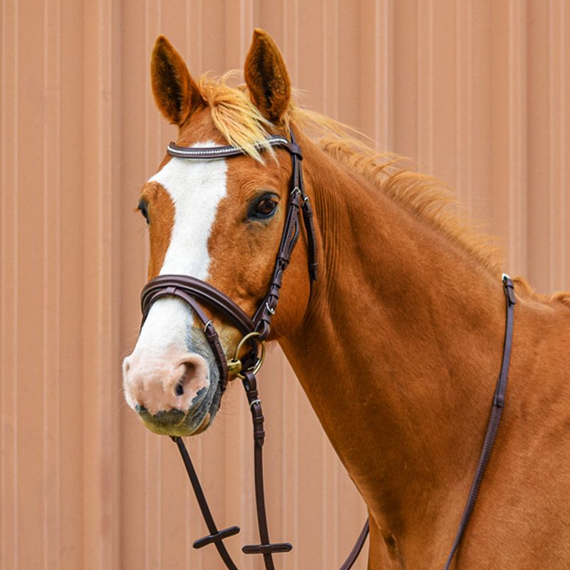 Bridon combiné frontal Strass Stationata | Sellerie Cheval-shop