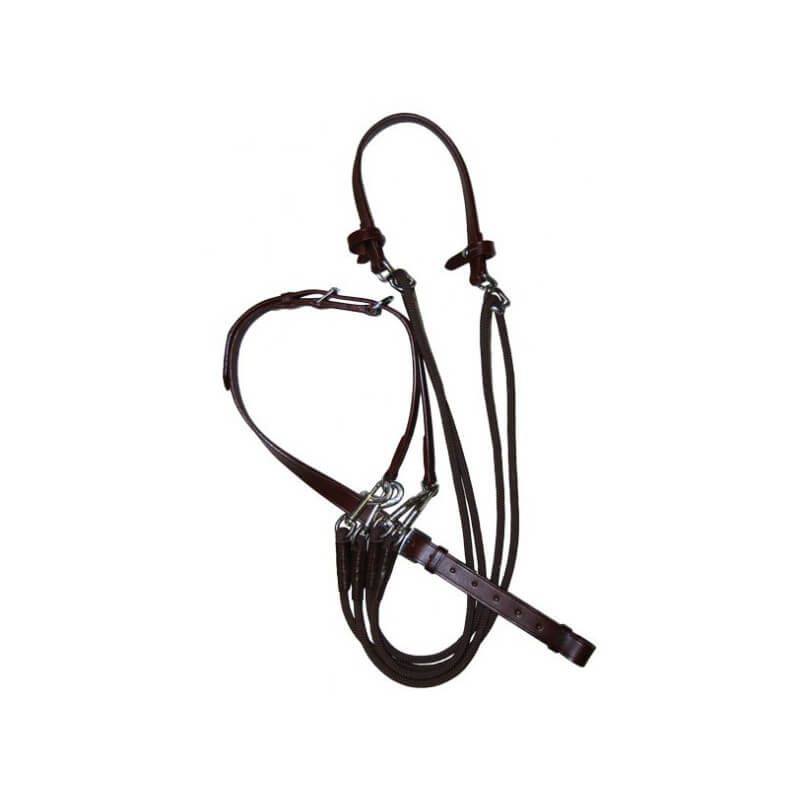 Gogue Stationata pour chevaux | Sellerie en ligne Cheval-shop