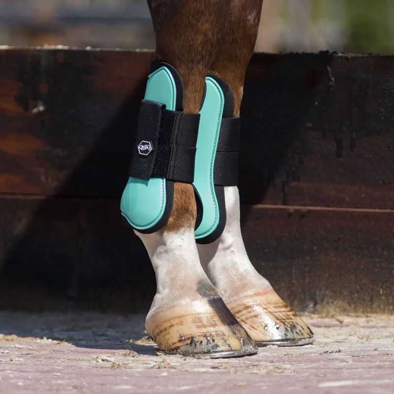 Guêtres ouvertes Color QHP | Sellerie en ligne Cheval-shop