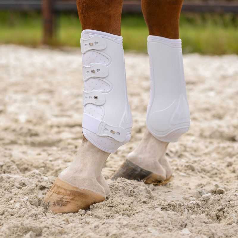 Guêtres champion antérieurs QHP | Sellerie en ligne Cheval-shop