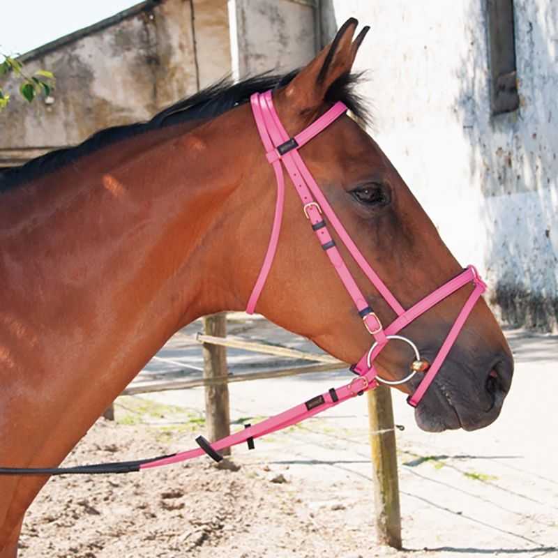 Bridon Biotack T de T | Sellerie en ligne Cheval-shop